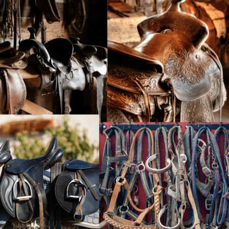 Atlantic Canada Equine Events – A directory created to organize and ...