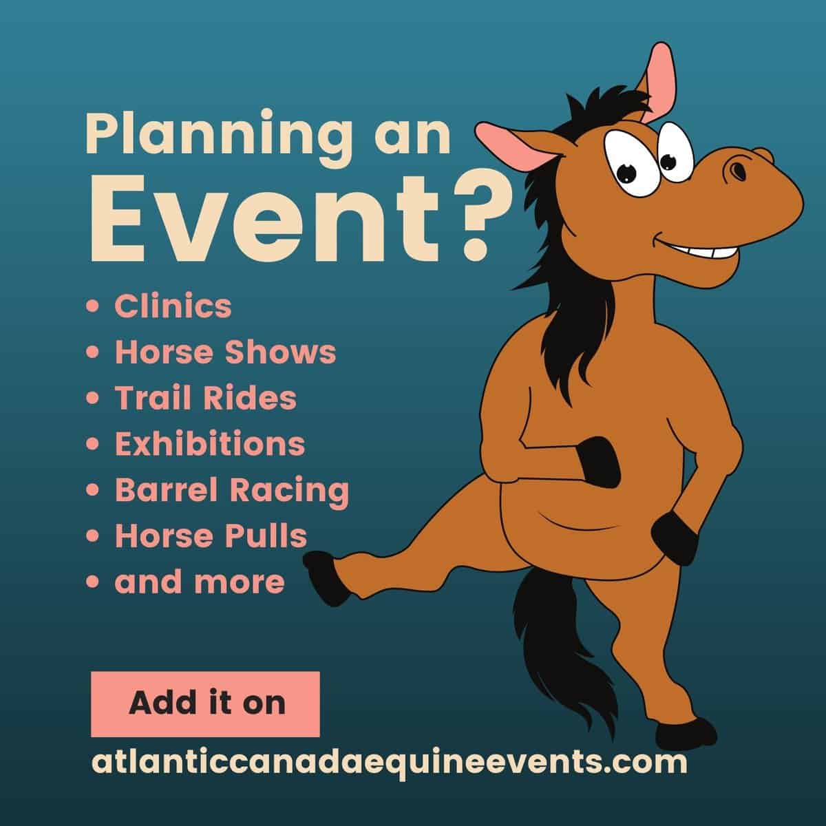 Horse Show – Atlantic Canada Equine Events